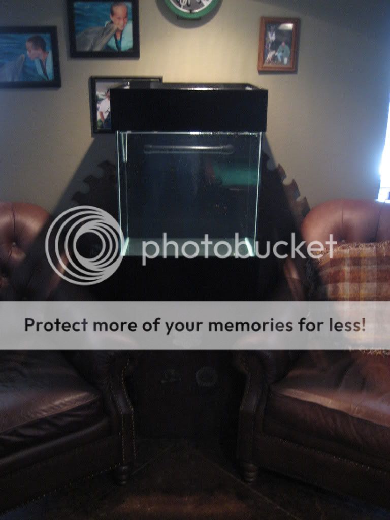 34g DIY AIO cube build w/ pics | The Planted Tank Forum