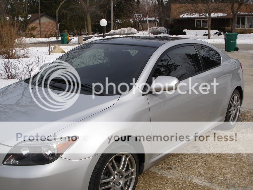 45% Tint - Scionlife.com