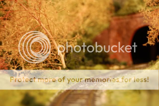 Mara Town - Reincarnation - New Railway Modellers Forums