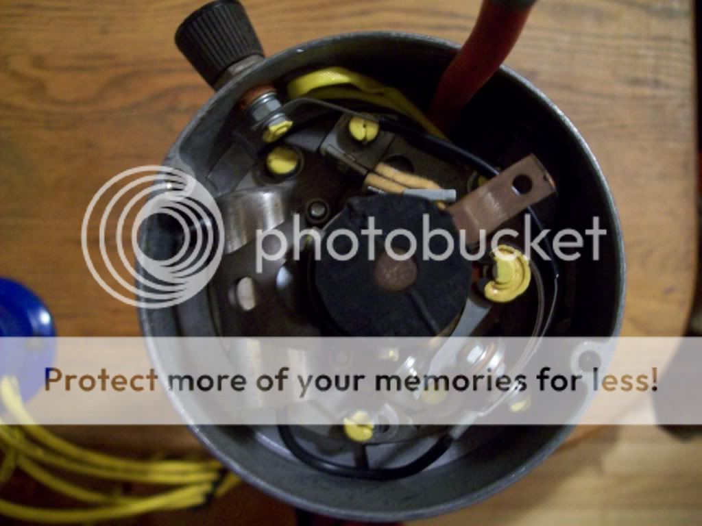 vertex magnetos | The H.A.M.B.